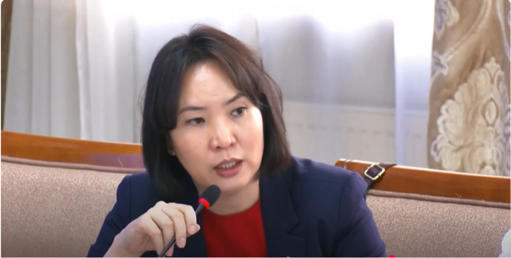 УИХ ын гишүүн М Мандхай Гашуун сухайт Ганц модны боомтын талаар бид нүүрсээ хэрхэн хурдан